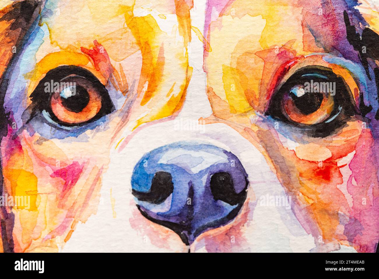 dog painted in watercolor on a white background Stock Photo - Alamy