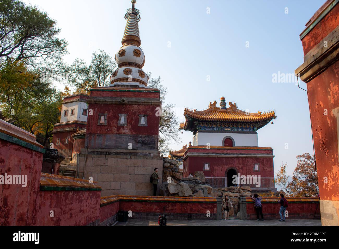 Cultural landscape of the Summer Palace in Beijing, China. Close up on ...