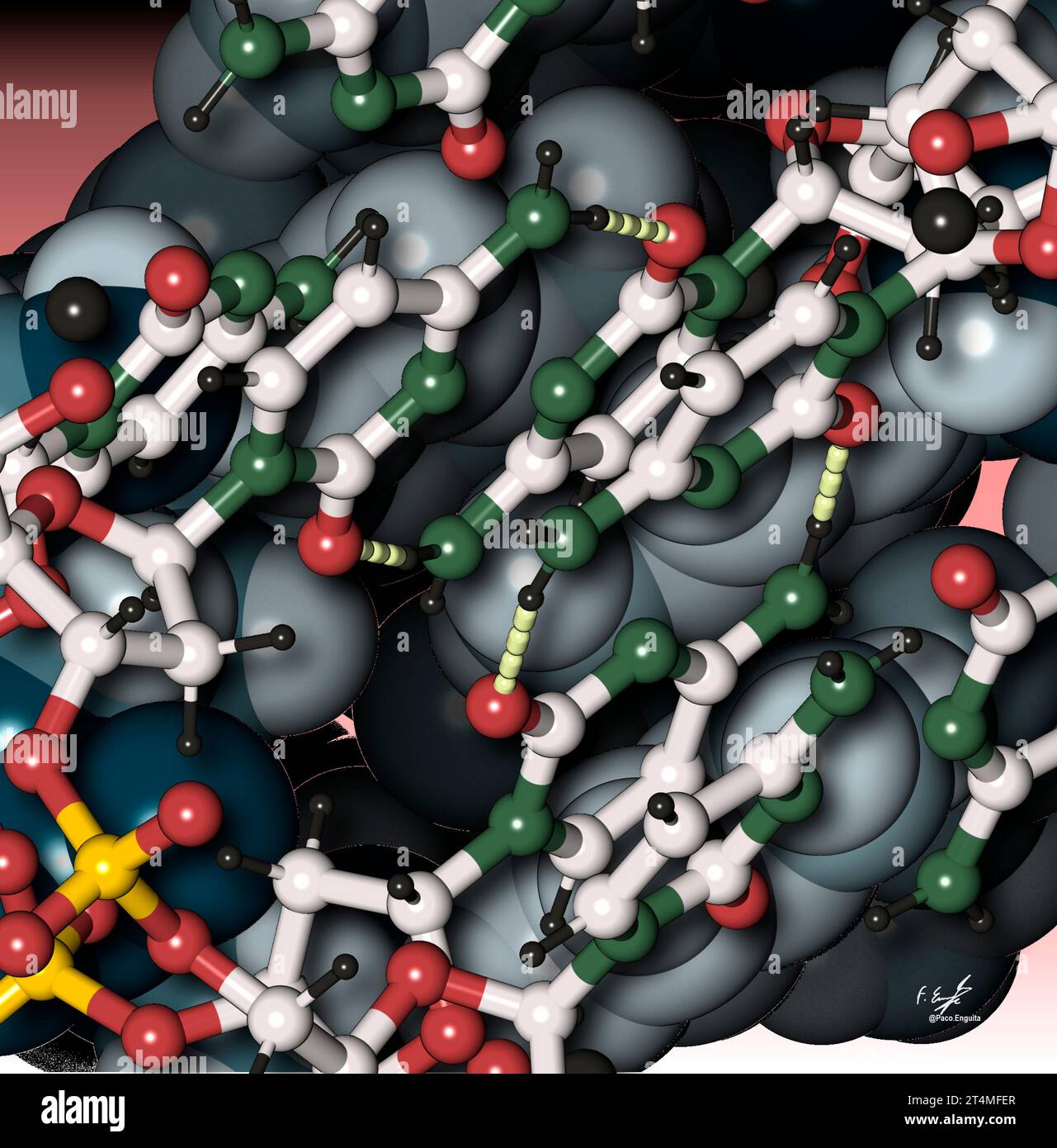 i-motif DNA structure, illustration Stock Photo - Alamy