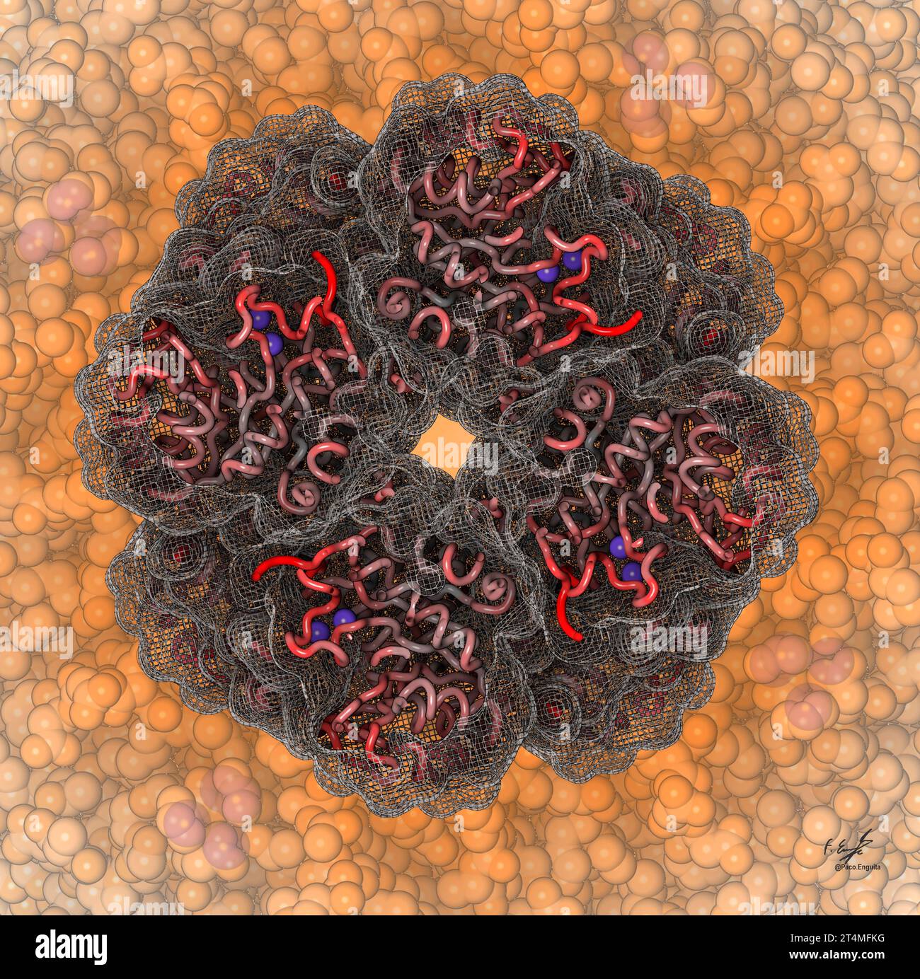 Lead atoms complexed with ALAD enzyme, illustration Stock Photo - Alamy