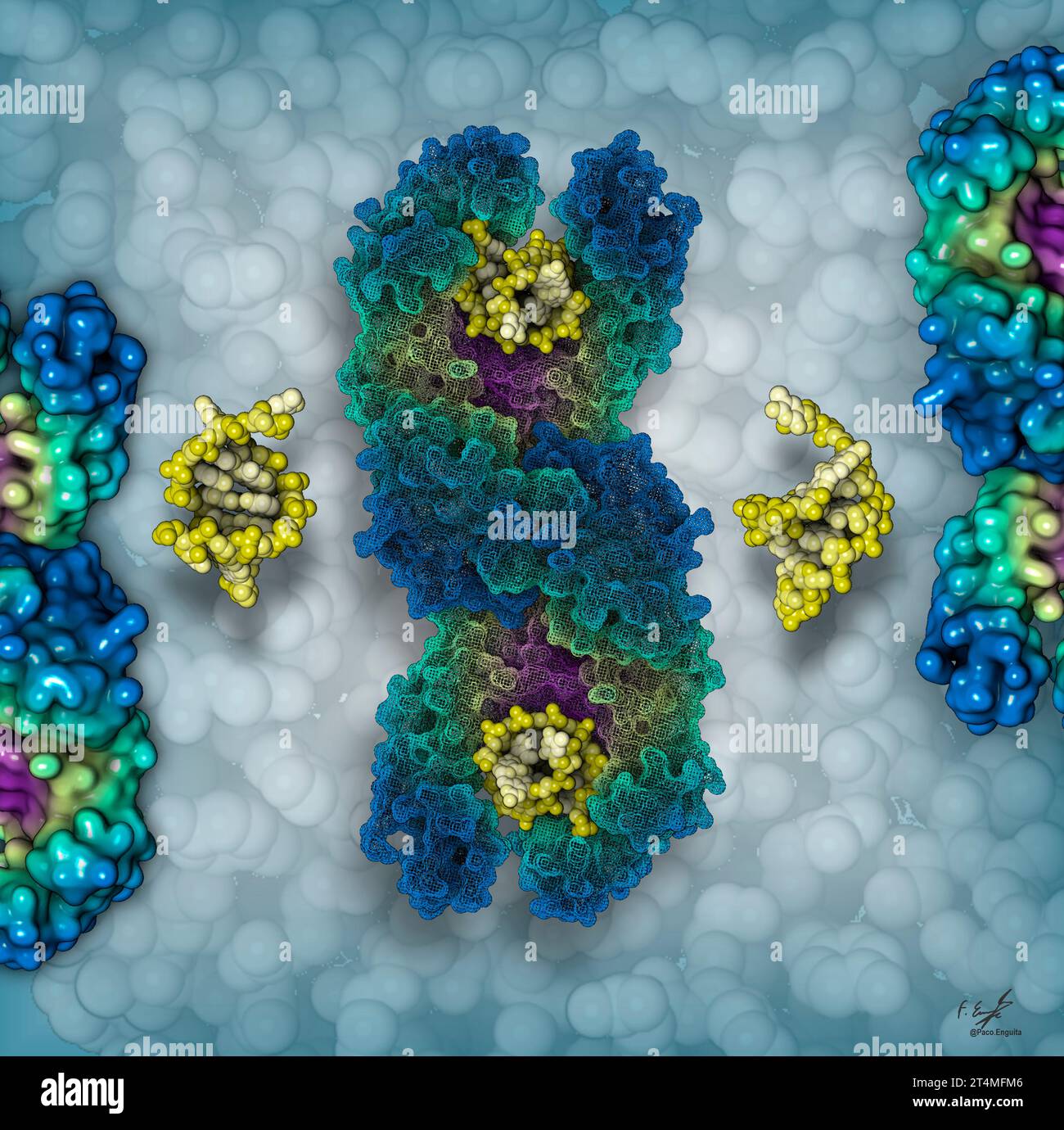 DNA polymerase theta, illustration Stock Photo - Alamy