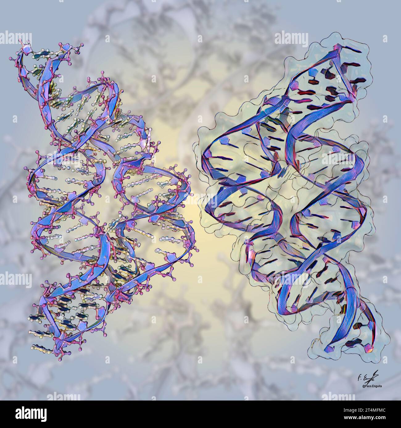 Tetrahydrofolate riboswitches, illustration Stock Photo - Alamy