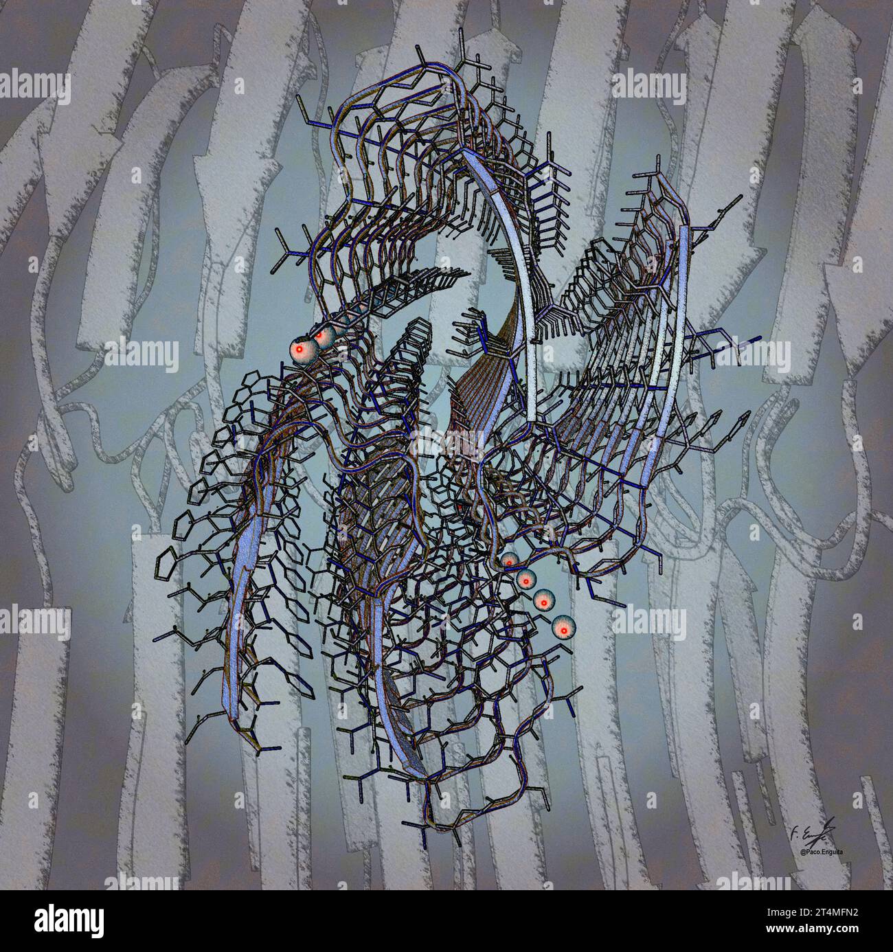 Islet amyloid polypeptide fibril, illustration Stock Photo - Alamy