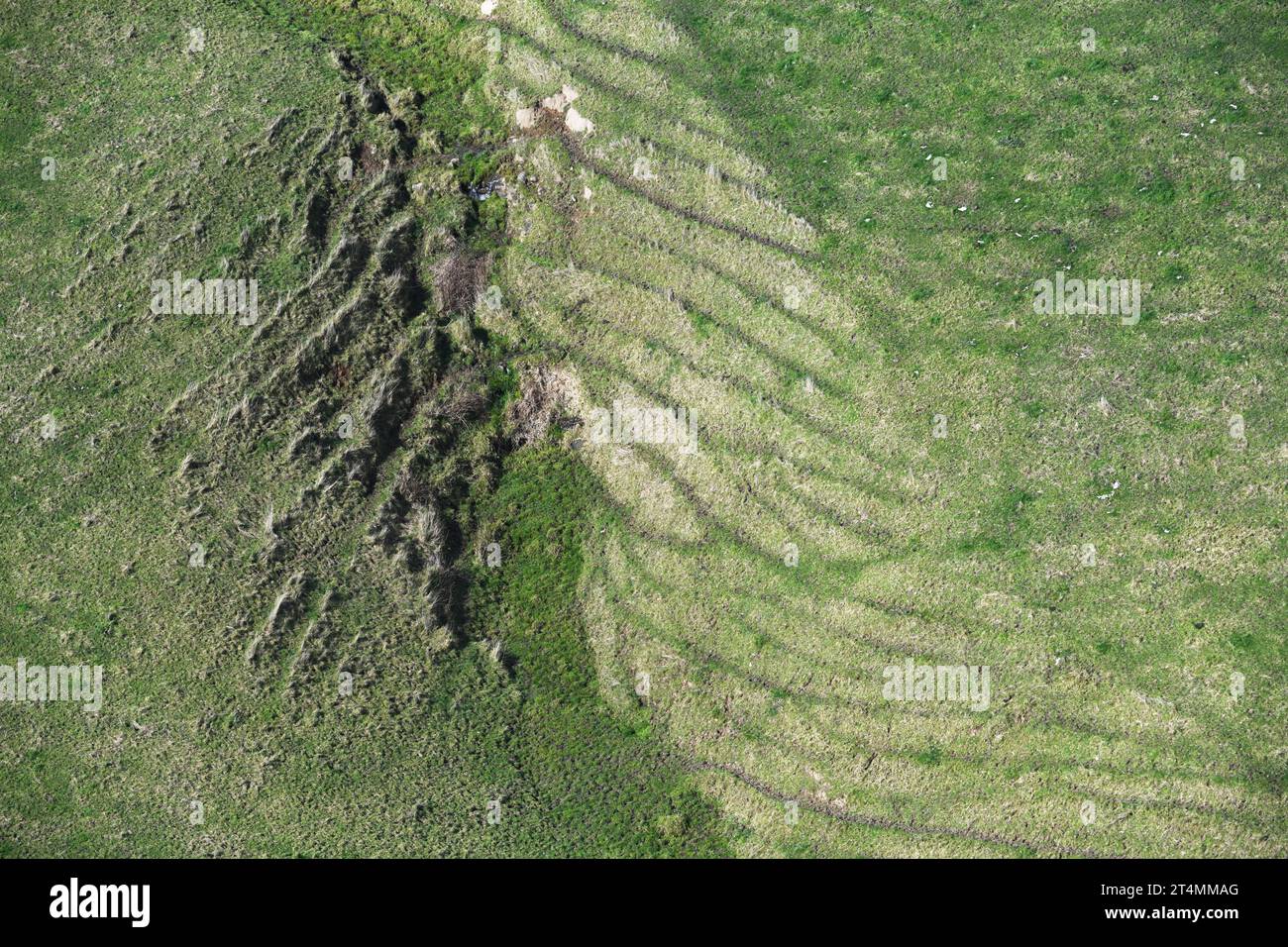 Aerial view of undulating ridges within open grassland presenting a ...