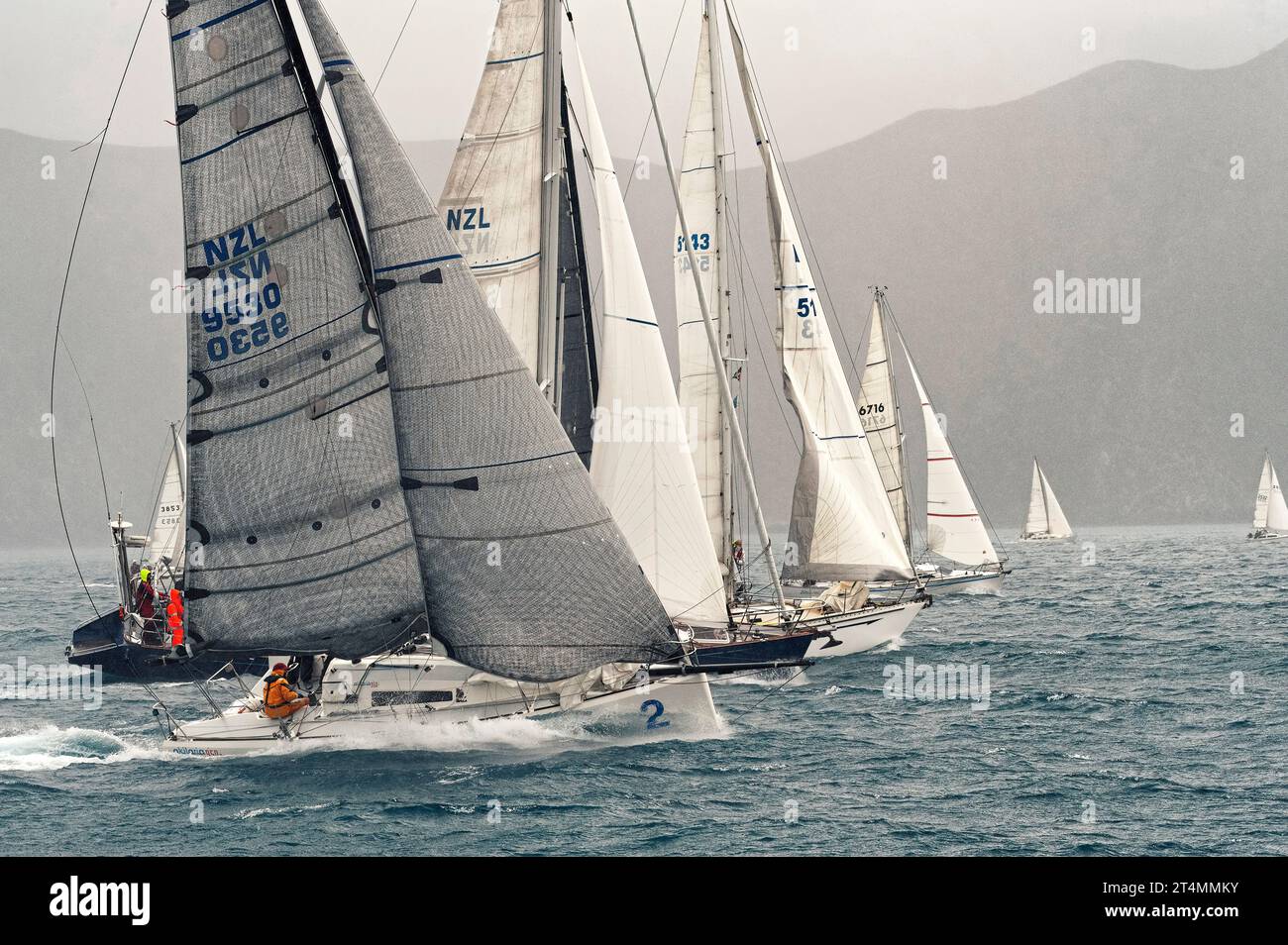 Sailing ocean going yacht, Cook Strait, New Zealand Stock Photo - Alamy
