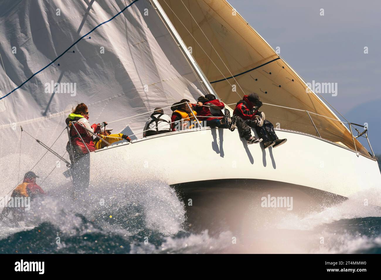 Yacht sailing in Cook Strait, New Zealand Stock Photo - Alamy