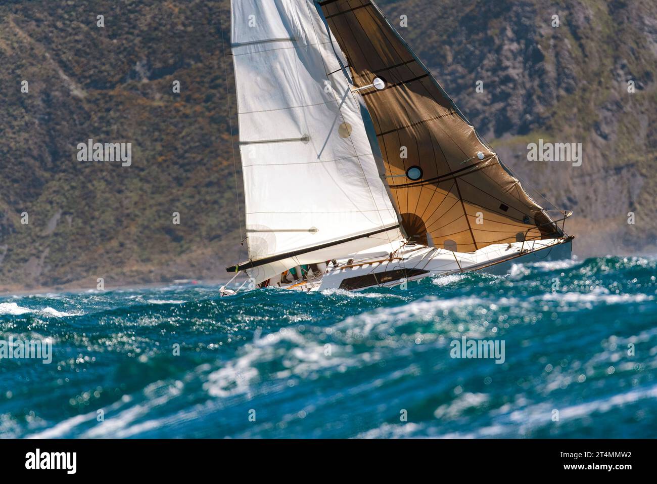 Cook strait new zealand hi-res stock photography and images - Alamy