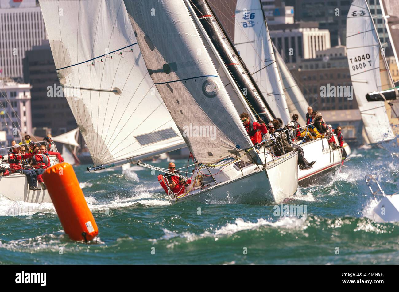 Dramatic yacht racing, Wellington harbour, New Zealand Stock Photo - Alamy