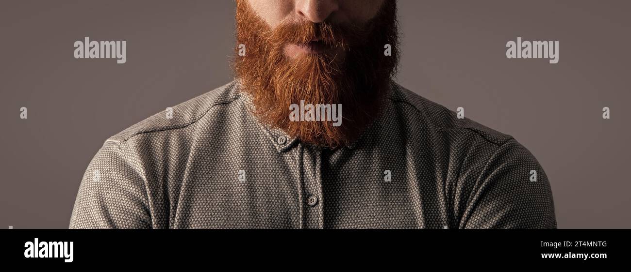 Portrait of Irish man crop view with red beard. Unshaven face with ...
