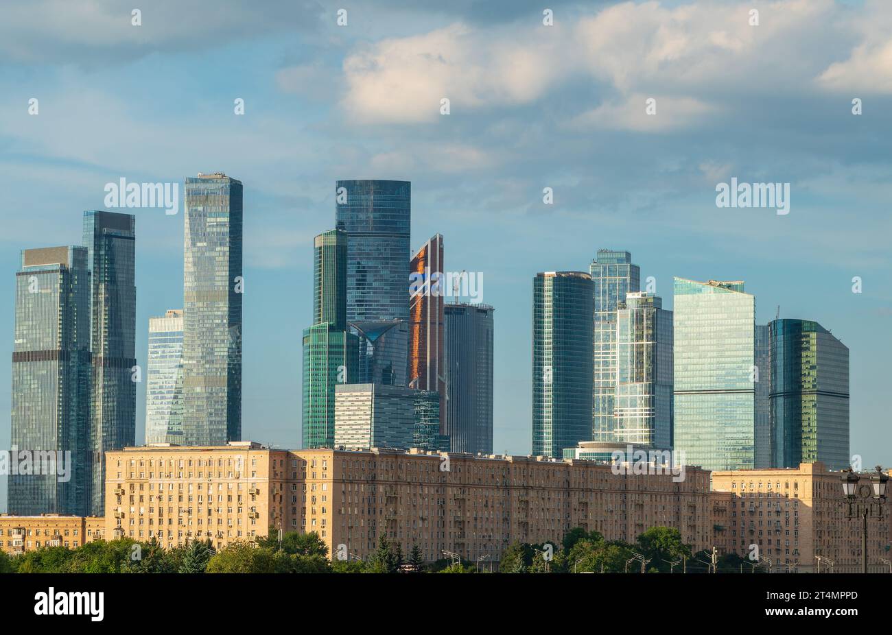 Green trees on background modern skyscrapers in the Moscow city ...