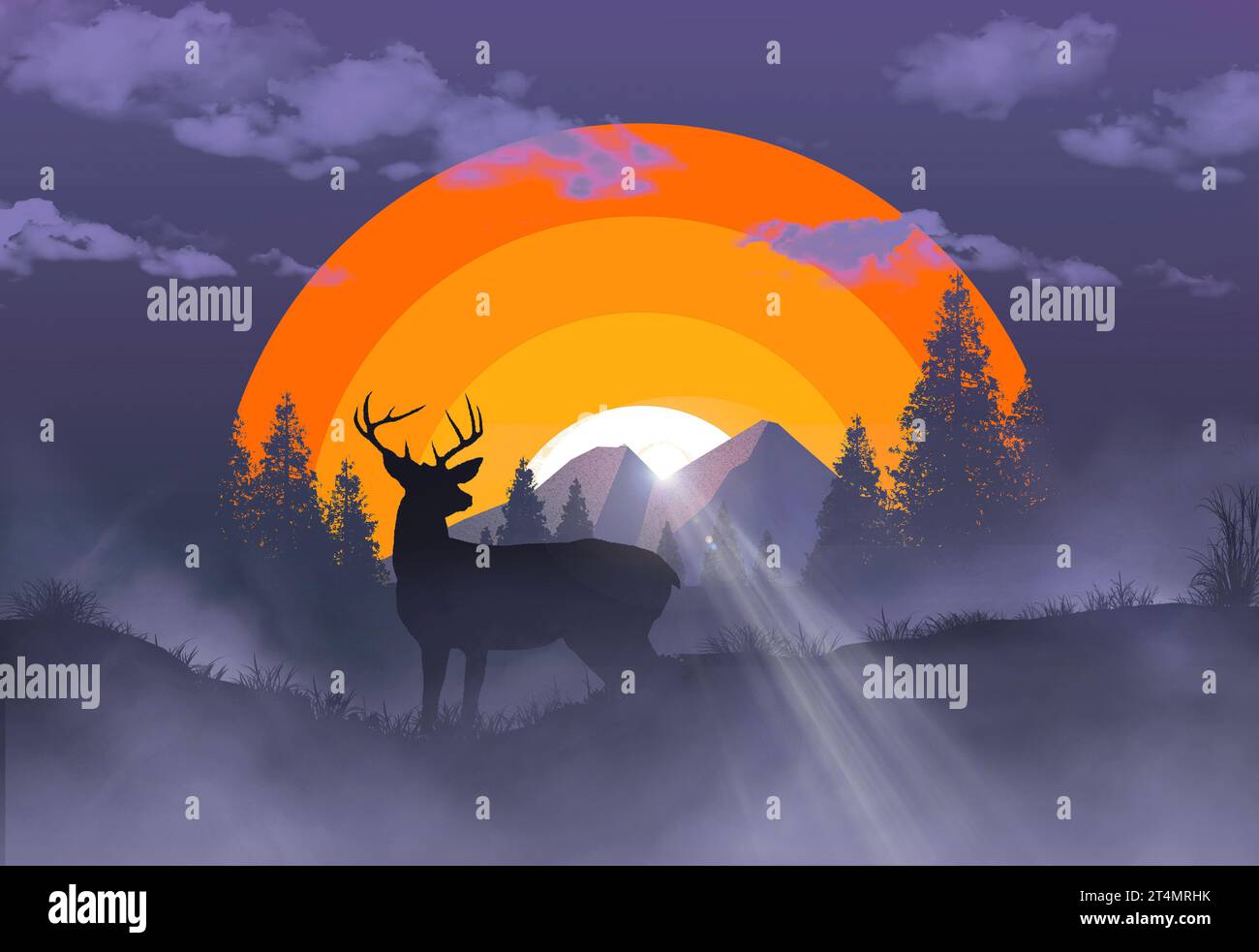 A whitetail deer is seen watching a setting sun with concentric circles ...