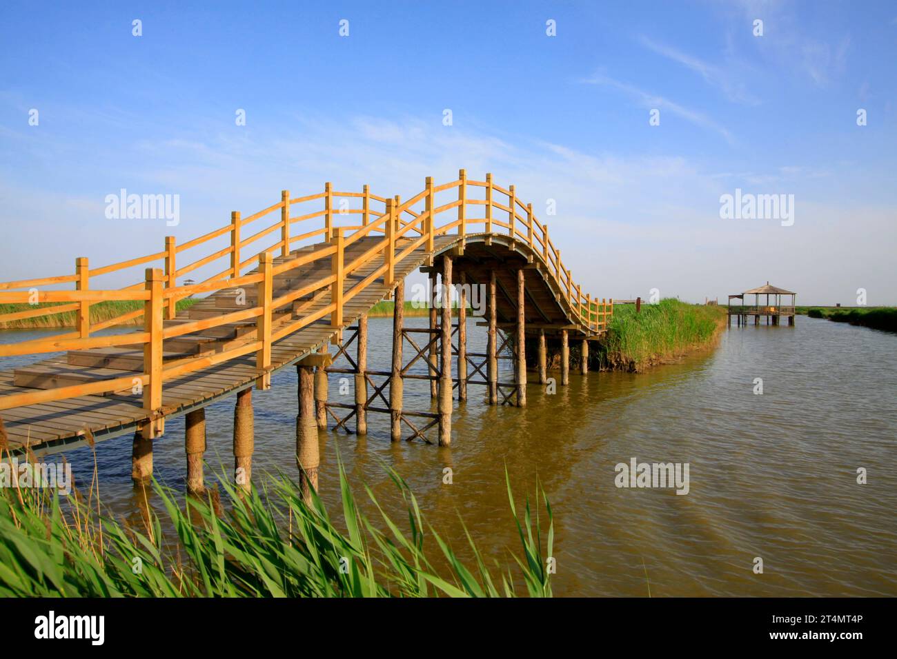 Vision and scenery plants hi-res stock photography and images - Alamy