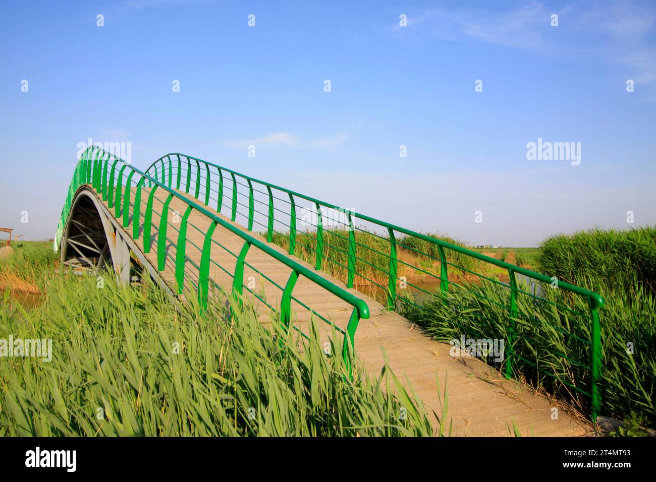 Green iron bridge railings Stock Photo - Alamy