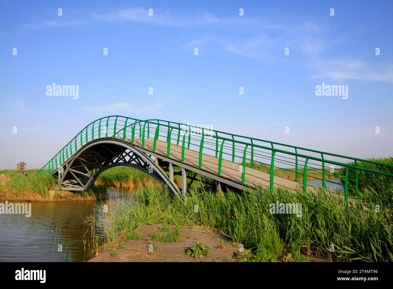 Green iron bridge railings Stock Photo - Alamy