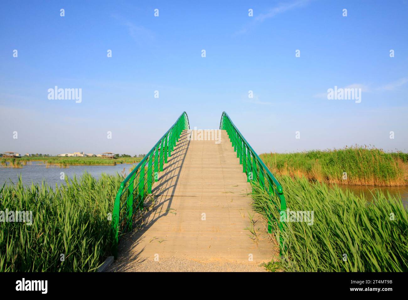 Green iron bridge railings Stock Photo - Alamy