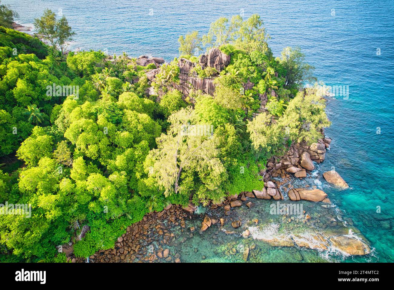 Granite rock palm trees seychelles hi-res stock photography and images ...