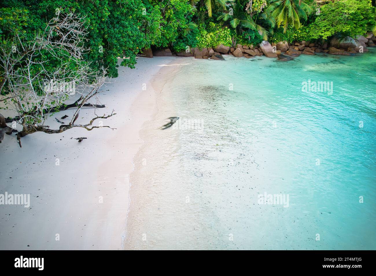 Drone of baie lazare beach, granite stones, white sandy beach ...