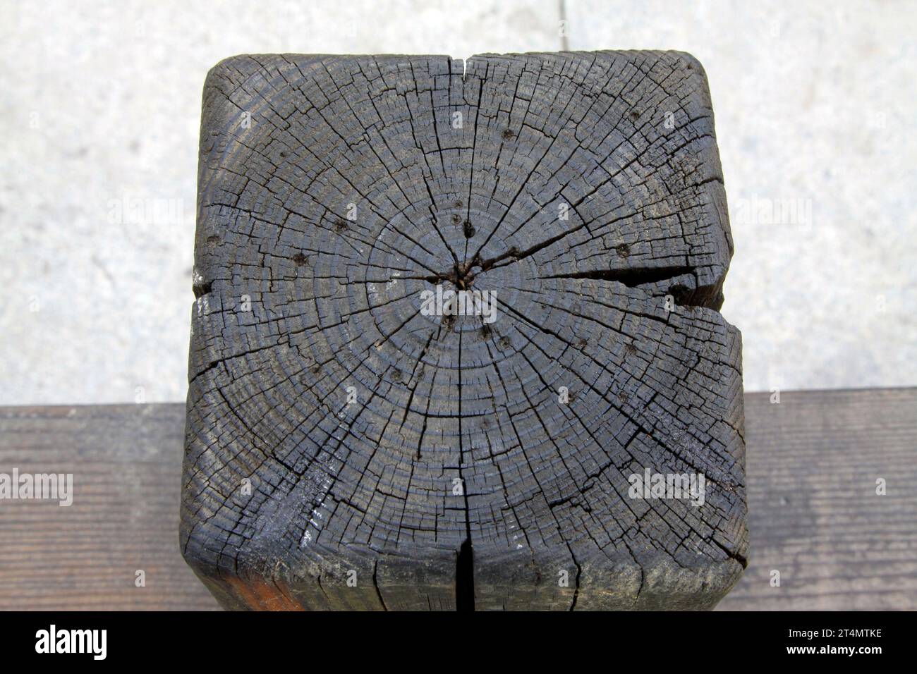 Circles cross section concentric hi-res stock photography and images ...