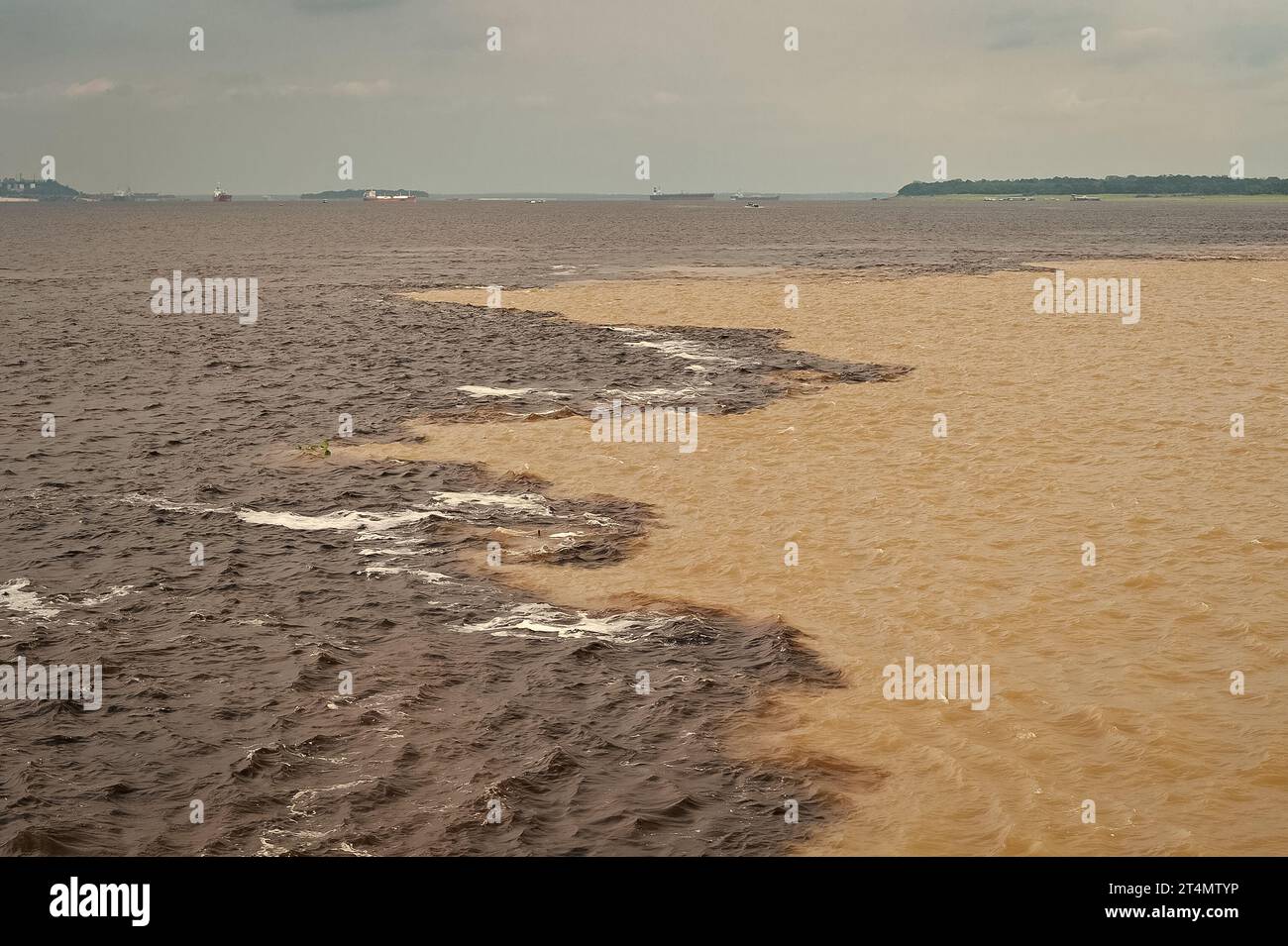 nature waterscape as travel destination, amazonia. nature waterscape of ...