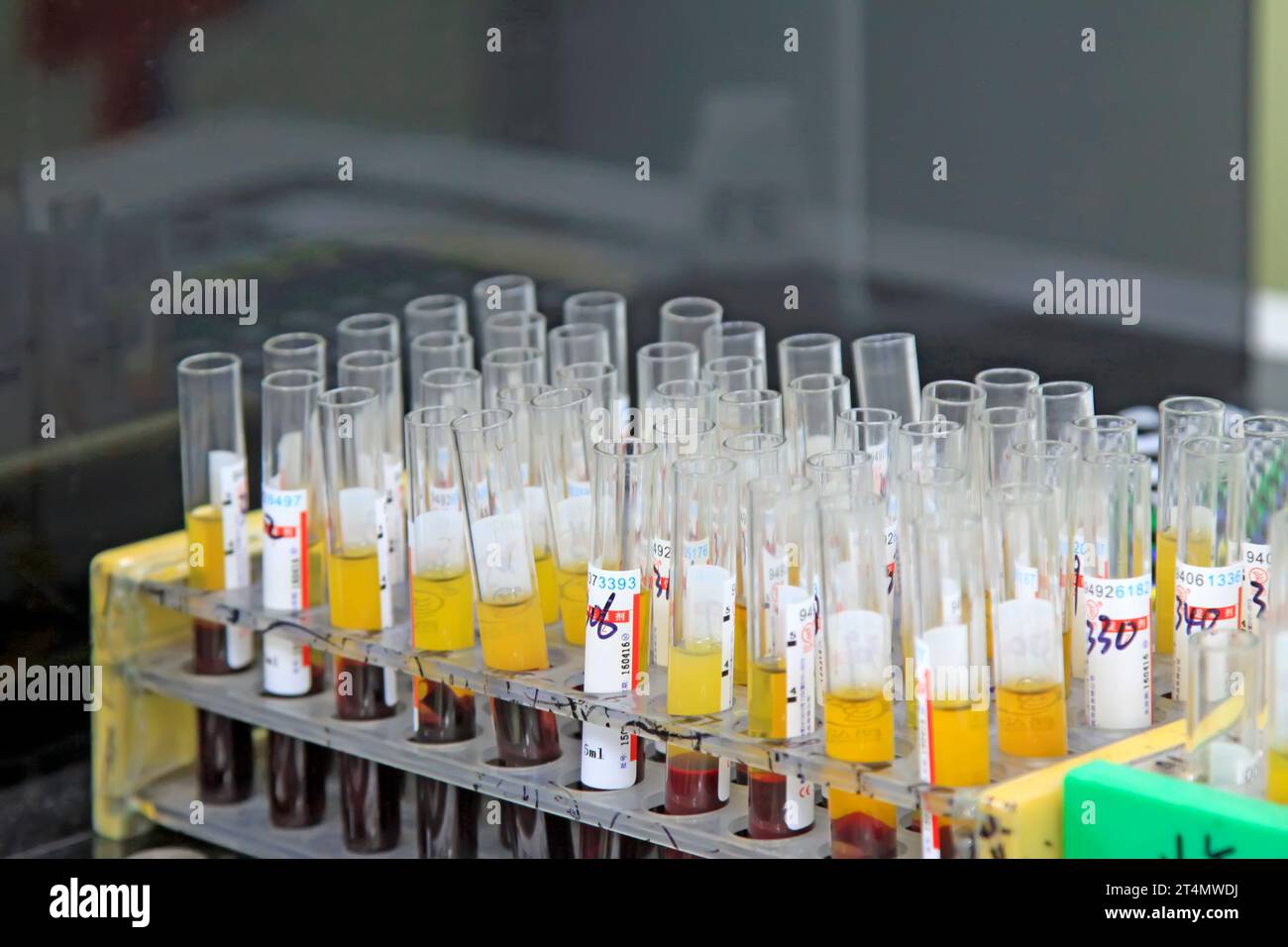 test tube professional test tools in a laboratory Stock Photo - Alamy