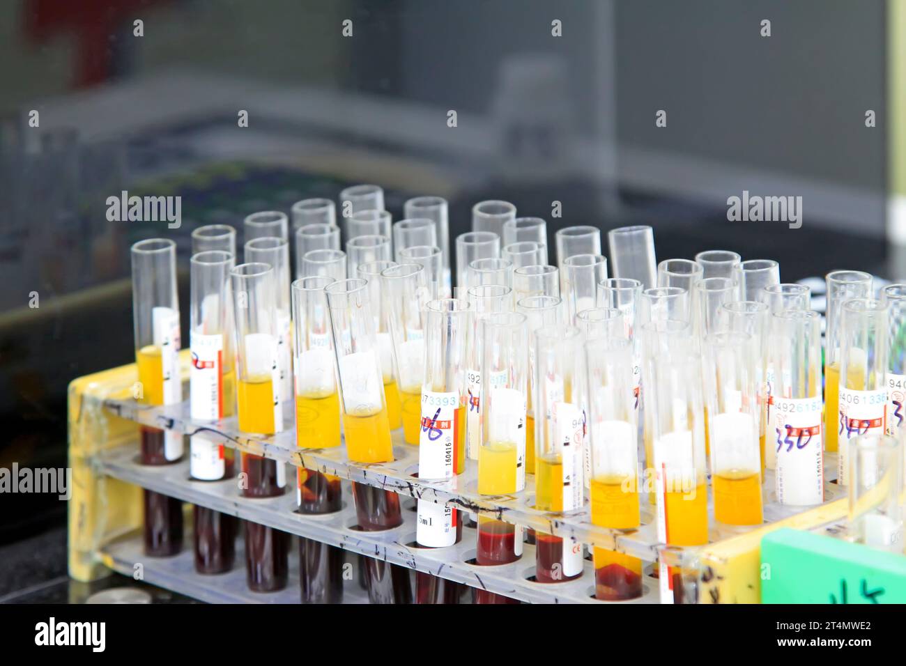 Test tube yellow solution hi-res stock photography and images - Alamy
