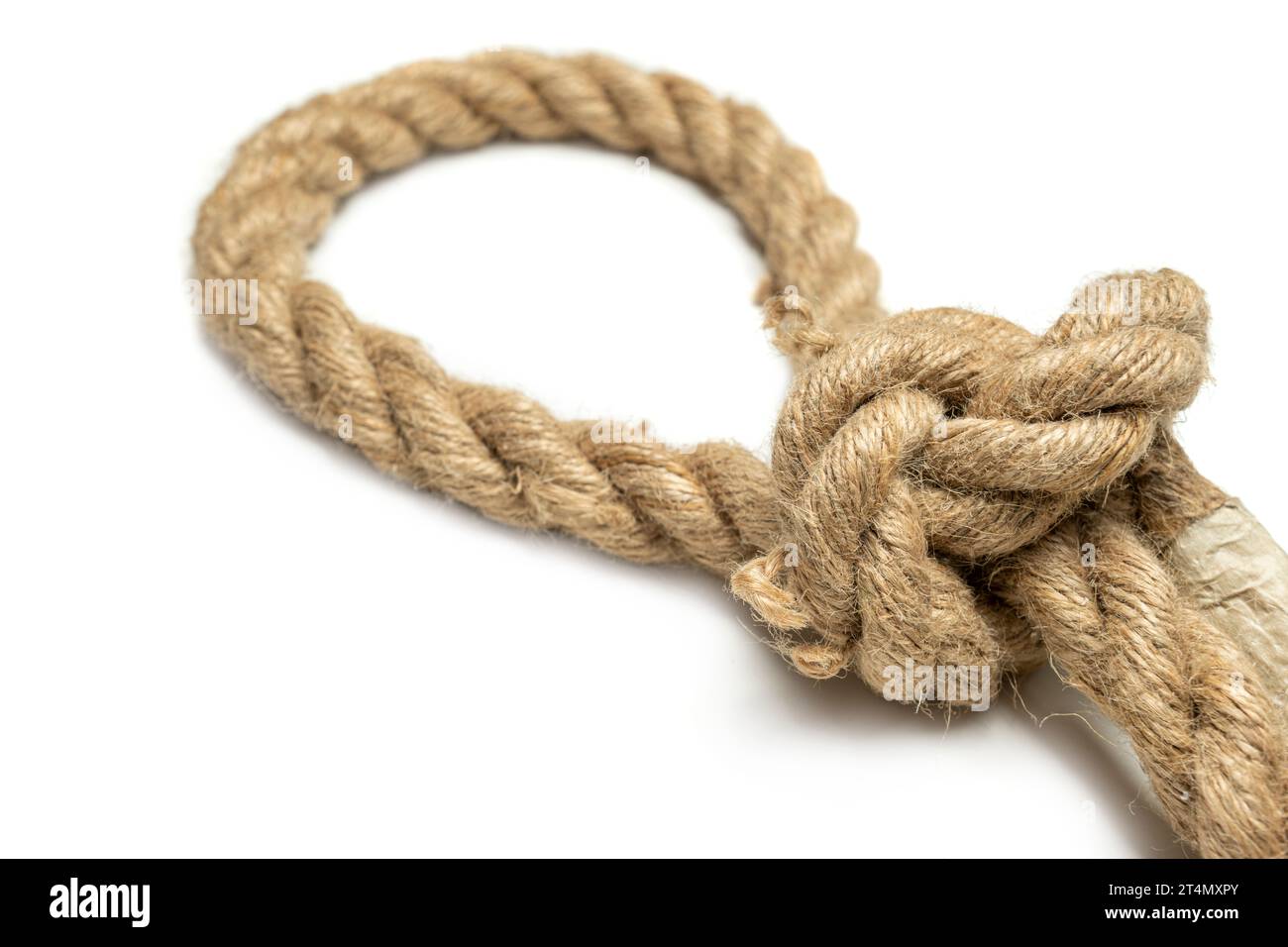 Coiled rope knot isolated over a white background Stock Photo - Alamy