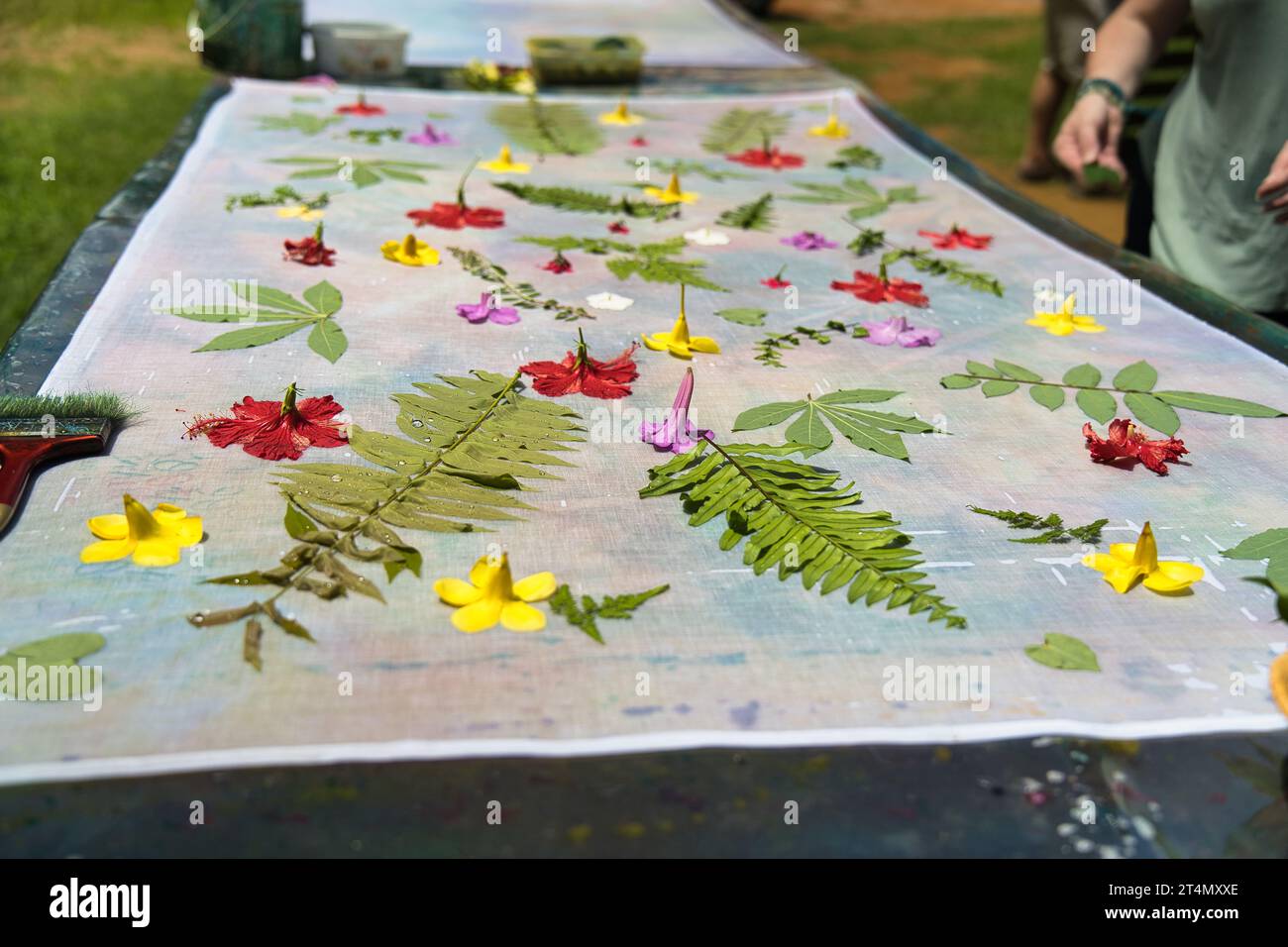 client placing ferns on cloth for pareo making, Mahe Seychelles Stock ...