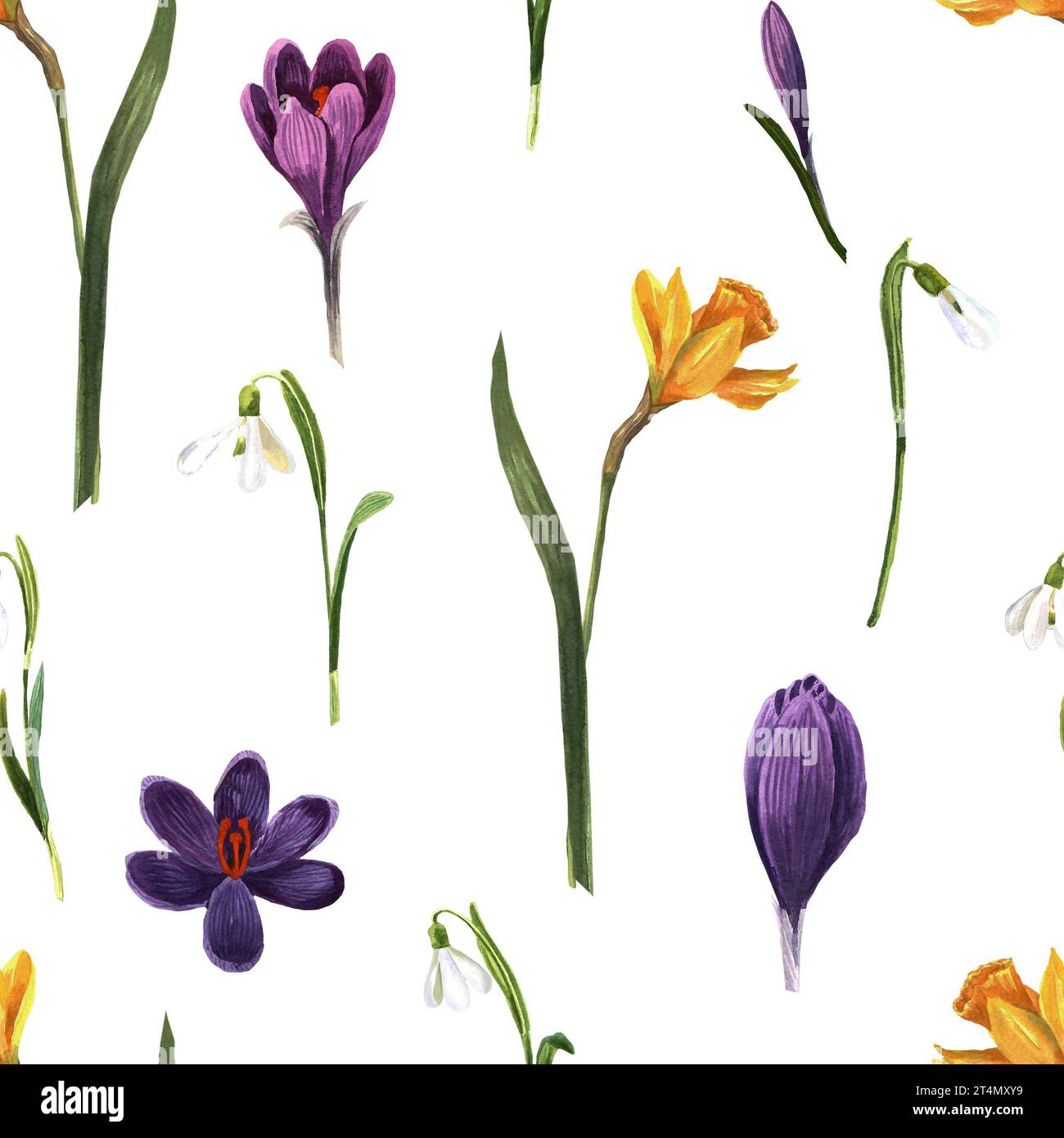 Seamless pattern of spring flowers hand drawn in watercolor. Floral ...