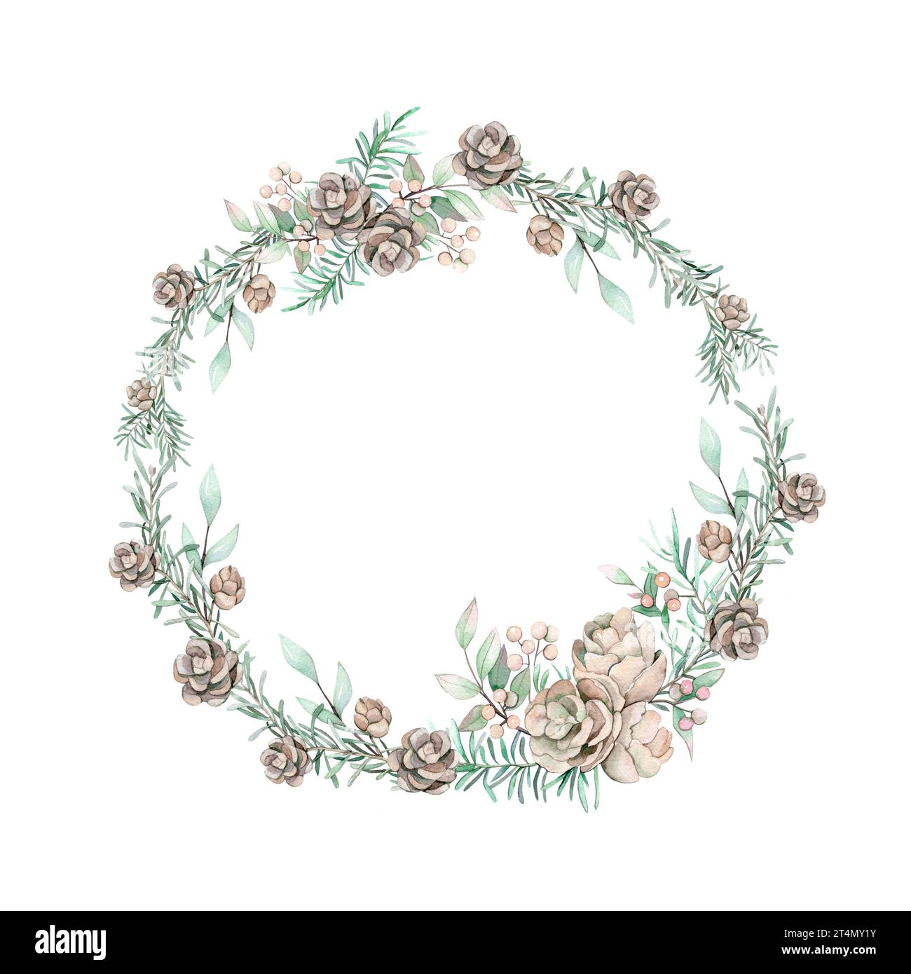 Watercolor pine cone Cut Out Stock Images & Pictures - Alamy