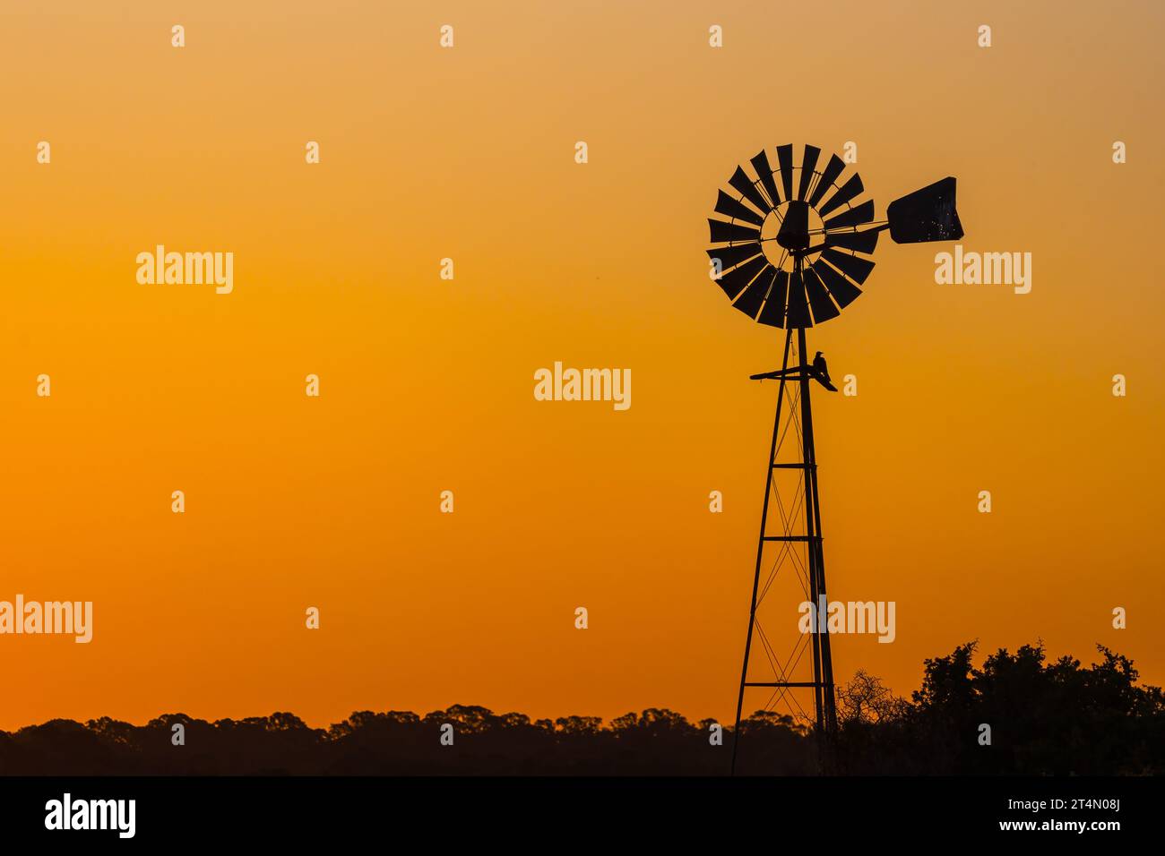 Bert griffiths hi-res stock photography and images - Alamy