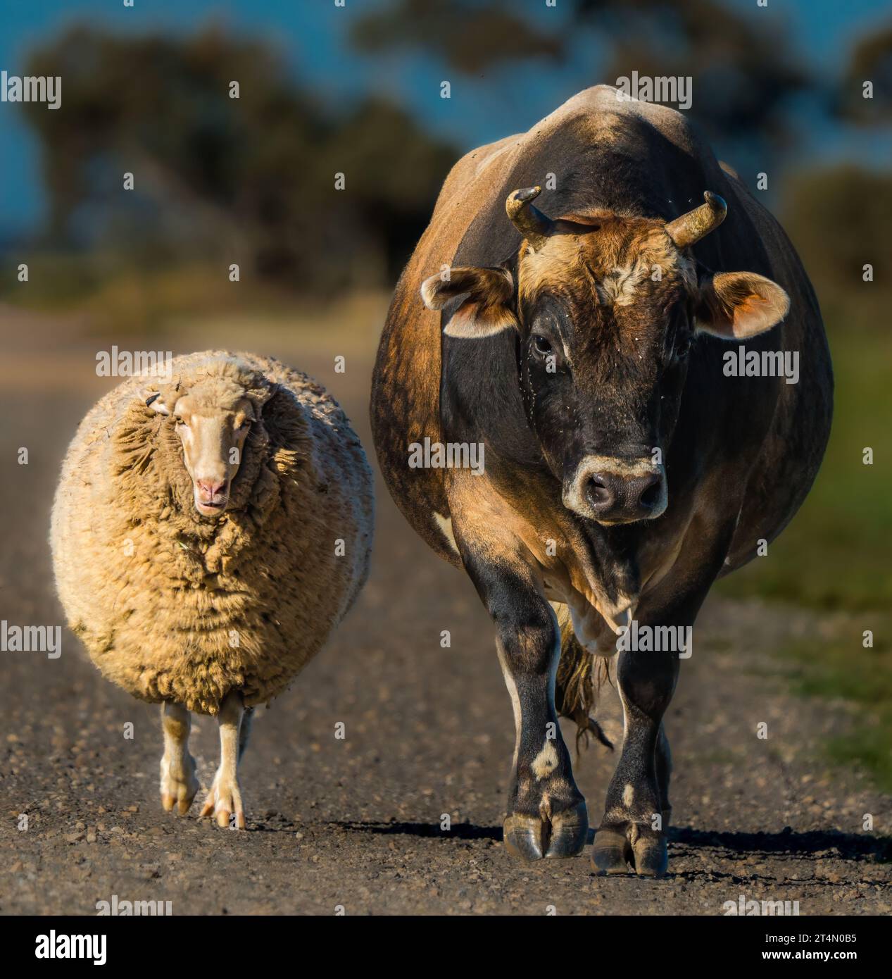 Fat friends hi-res stock photography and images - Alamy
