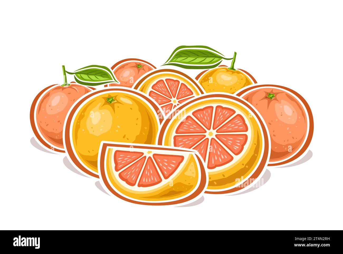 Vector logo for Grapefruits, decorative horizontal poster with cartoon ...