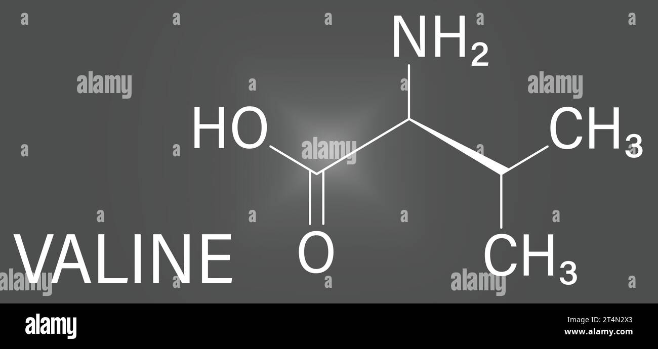 Valine val amino acid molecular hi-res stock photography and images - Alamy