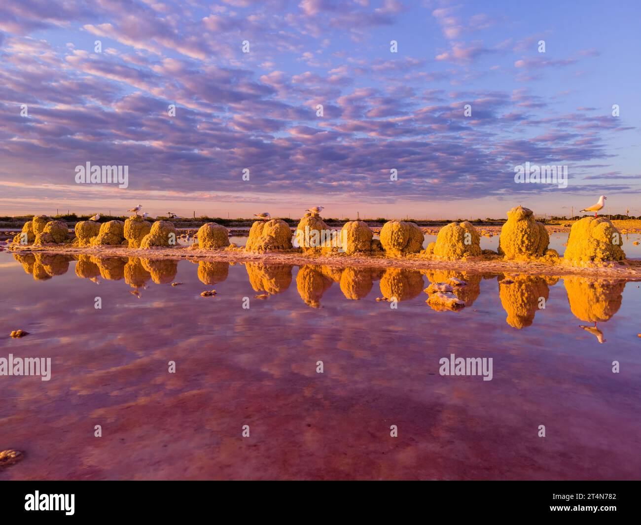 Salt pan aerial hi-res stock photography and images - Alamy