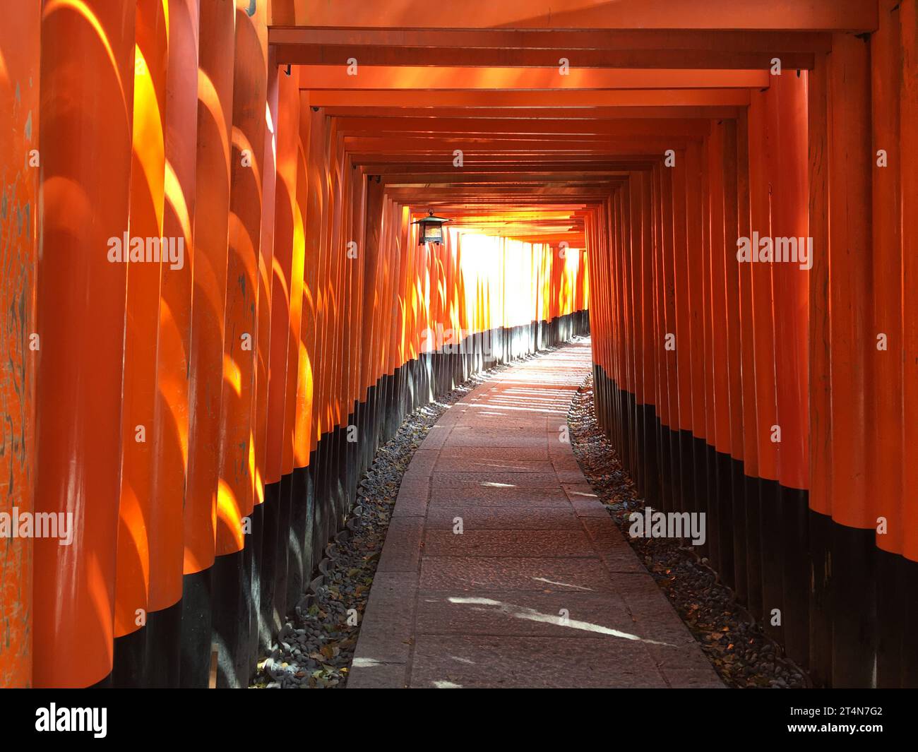 Iconic orange torii gates hi-res stock photography and images - Alamy