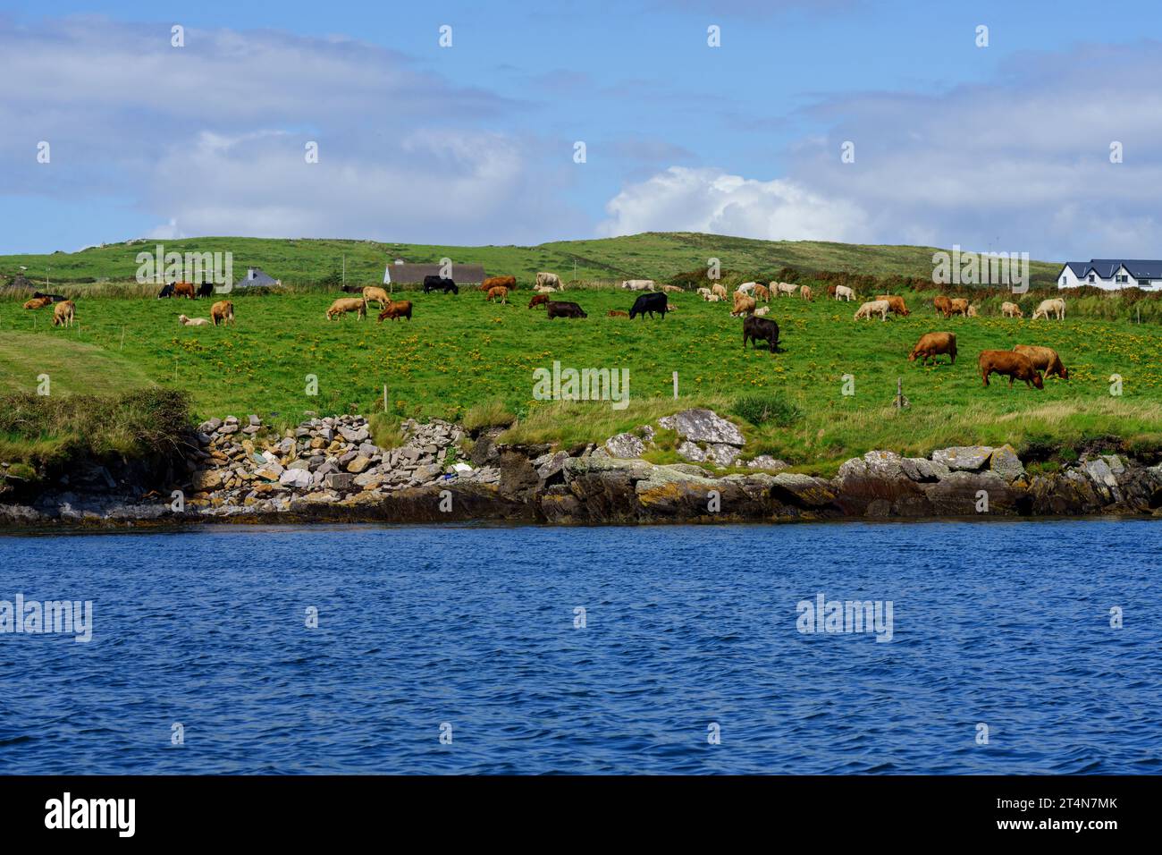 coast of valentia island, Portmagee, Ring of Kerry, County Kerry ...