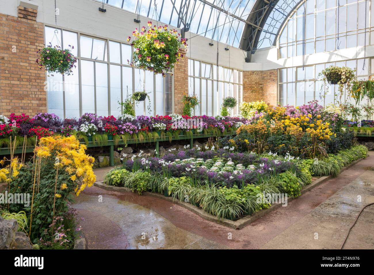 Beautiful day at Auckland Domain Wintergardens, New Zealand Stock Photo ...