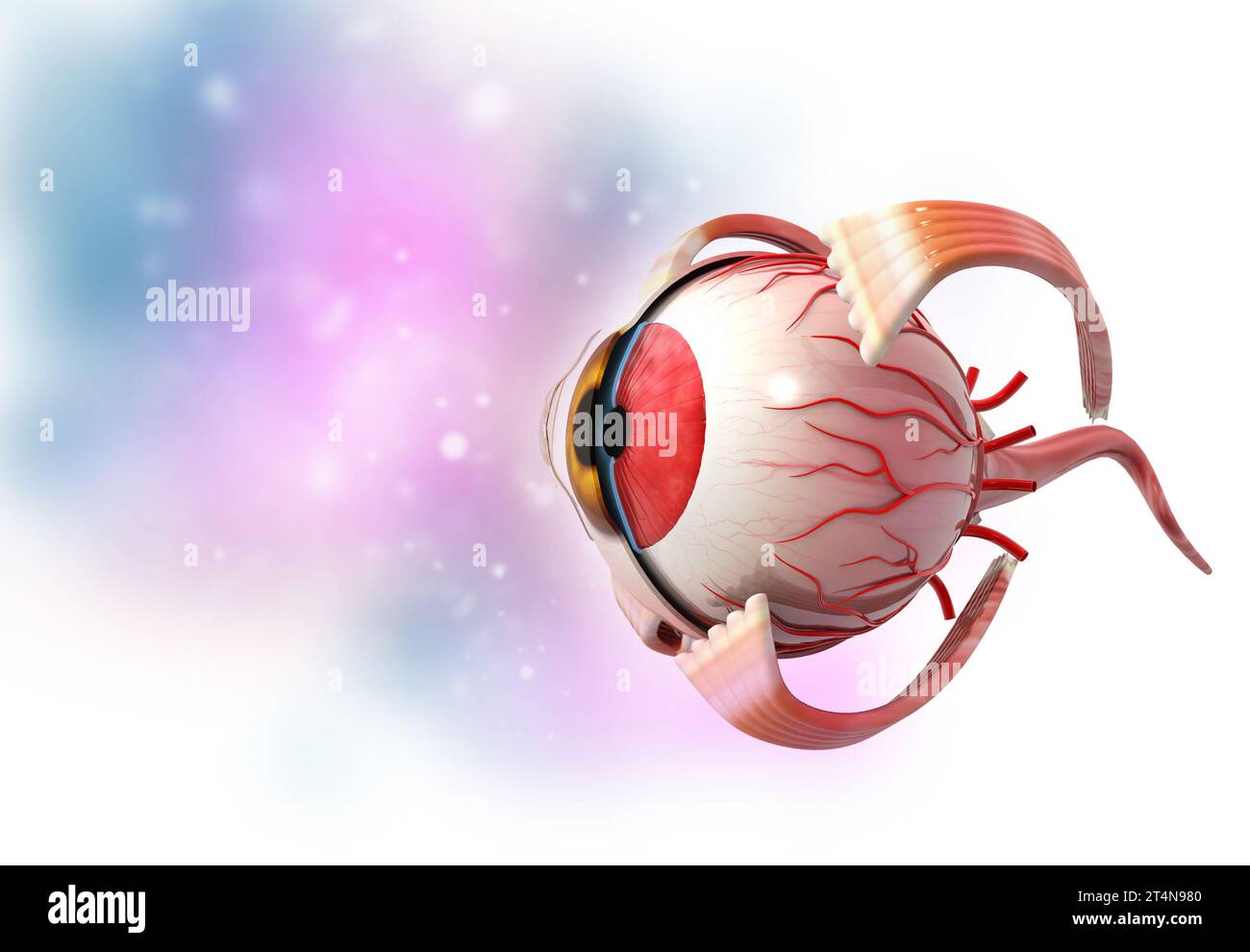 3d human eye anatomy medical background. 3d illustration Stock Photo ...