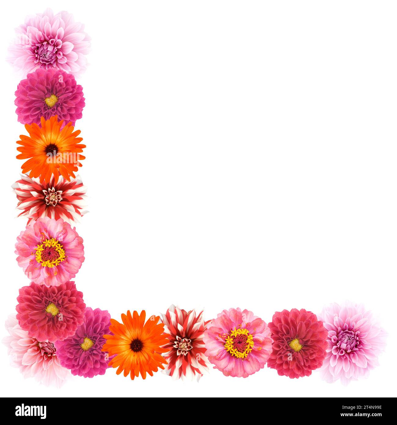 Different colors right-angled flower border isolated on white Stock ...