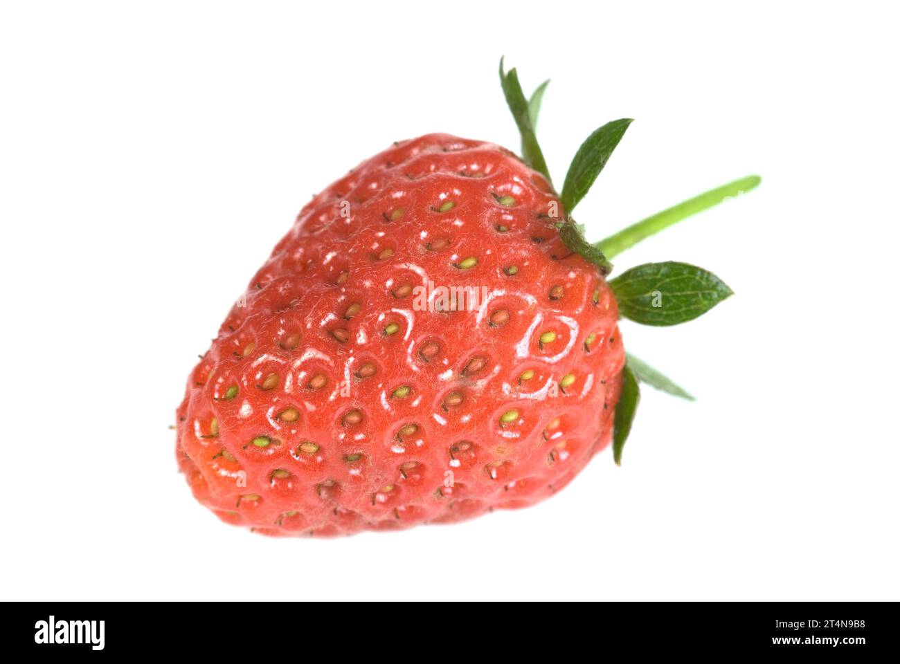 Closeup shot strawberry on Cut Out Stock Images & Pictures - Alamy