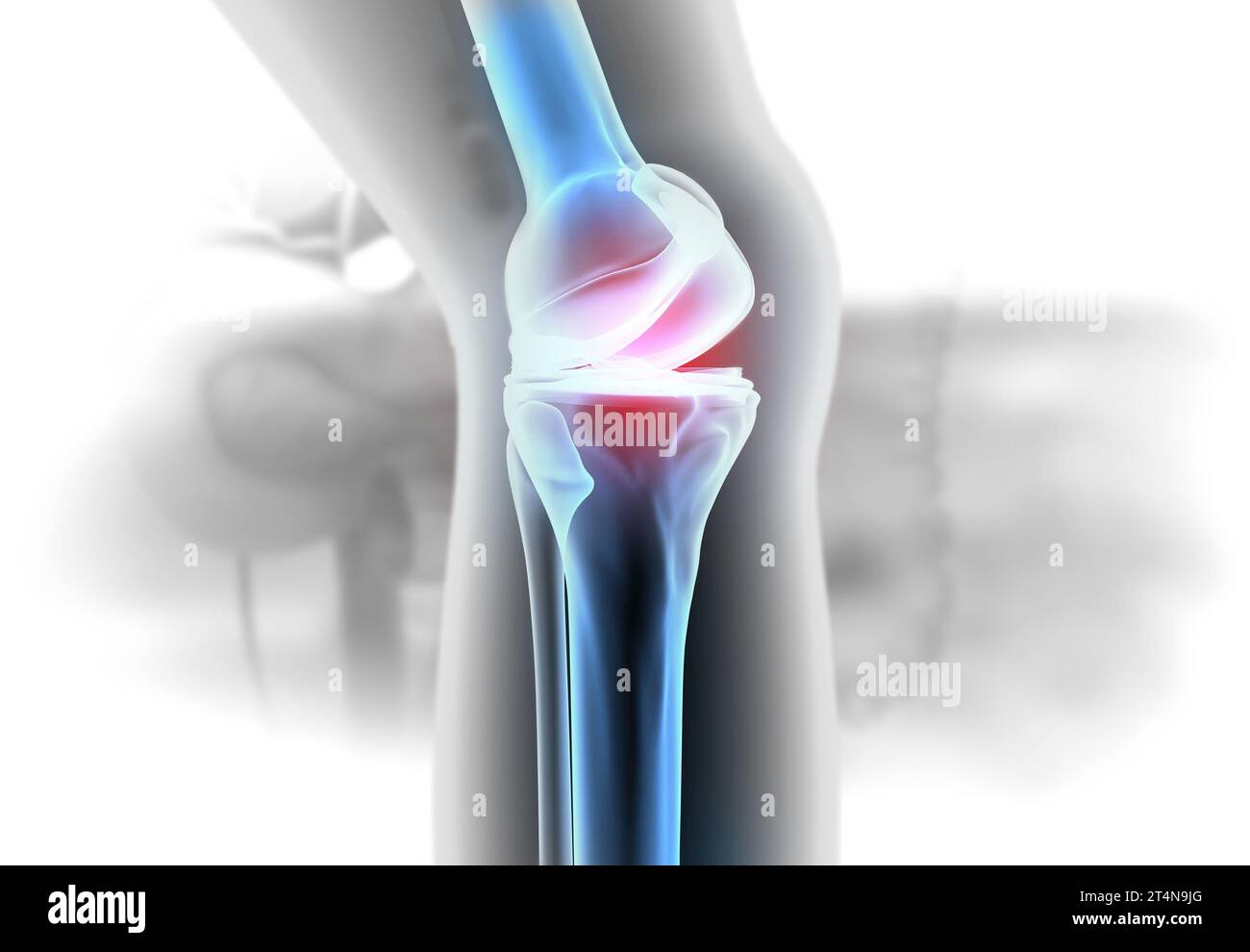 Complex anatomy hi-res stock photography and images - Alamy