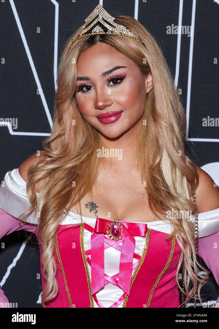 Hollywood, United States. 01st Nov, 2023. HOLLYWOOD, LOS ANGELES ...