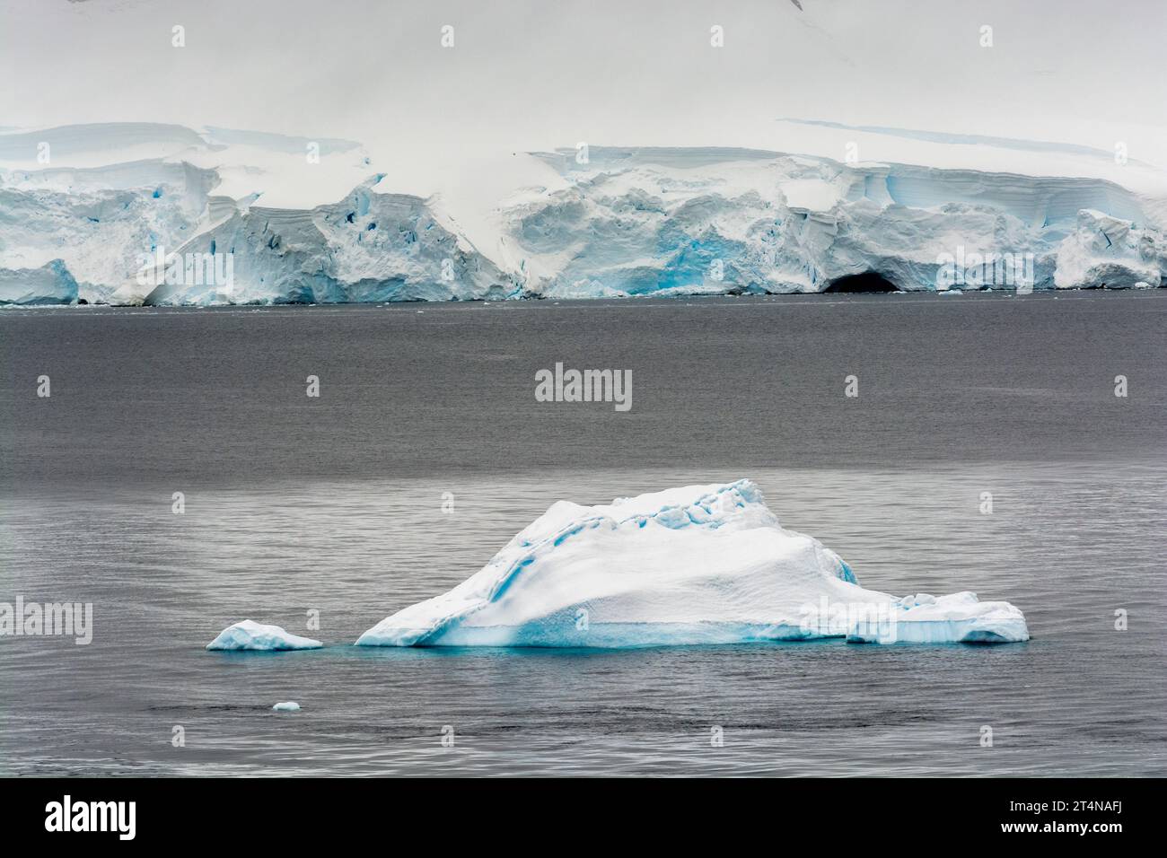 iceberg from ice cliffs along shore of charlotte bay. danco coast ...