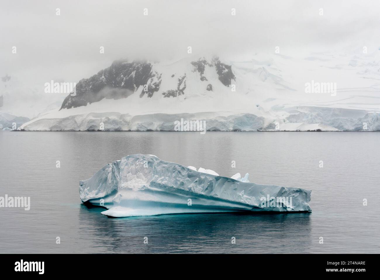 bluish iceberg in front of icy coastline of hughes bay. danco coast ...