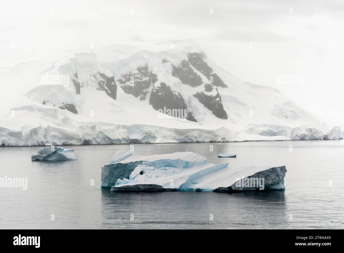 icebergs in front of icy coastline of hughes bay. danco coast ...