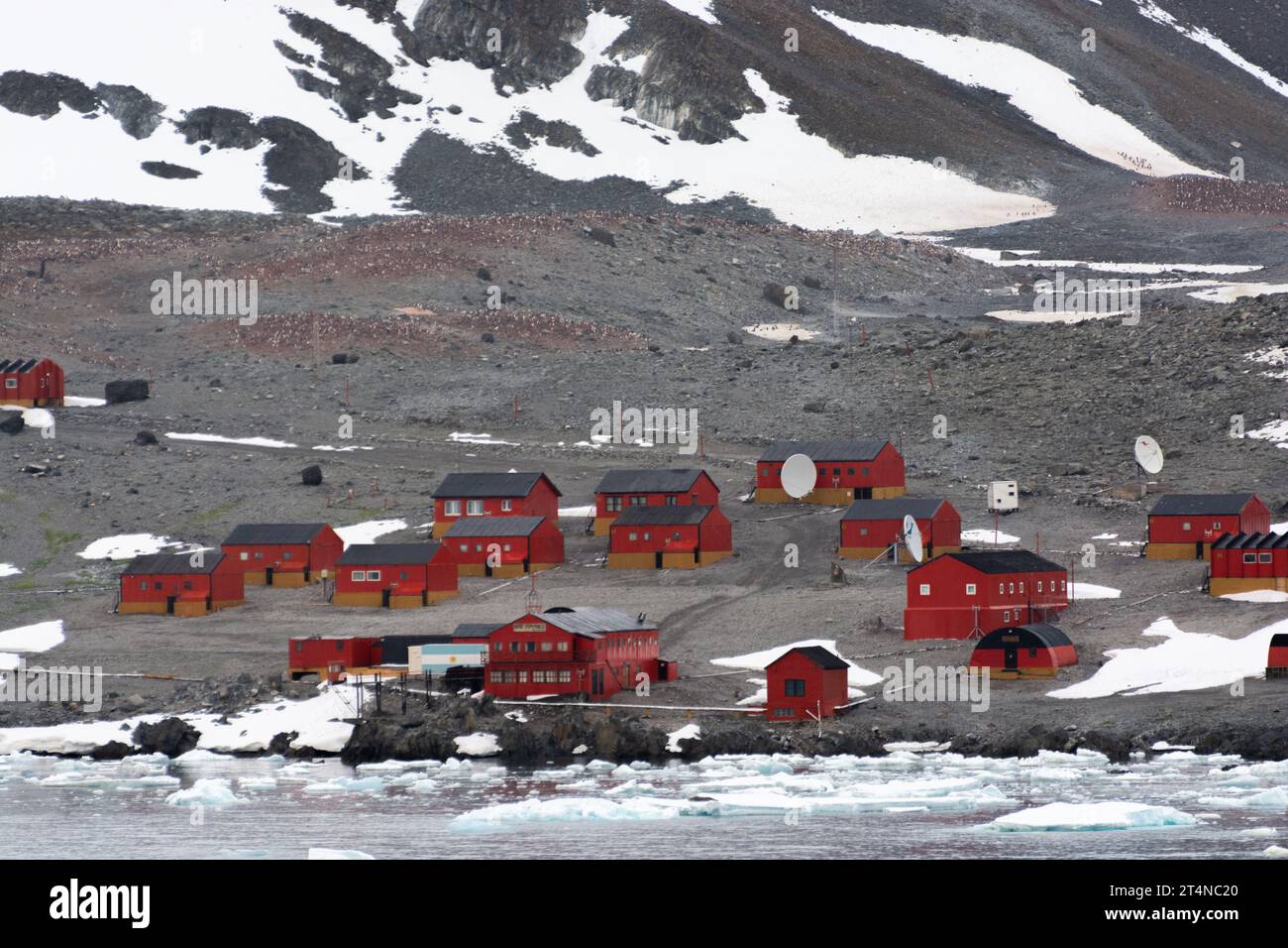 esperanza base, argentina research station, surrounded by adelie ...