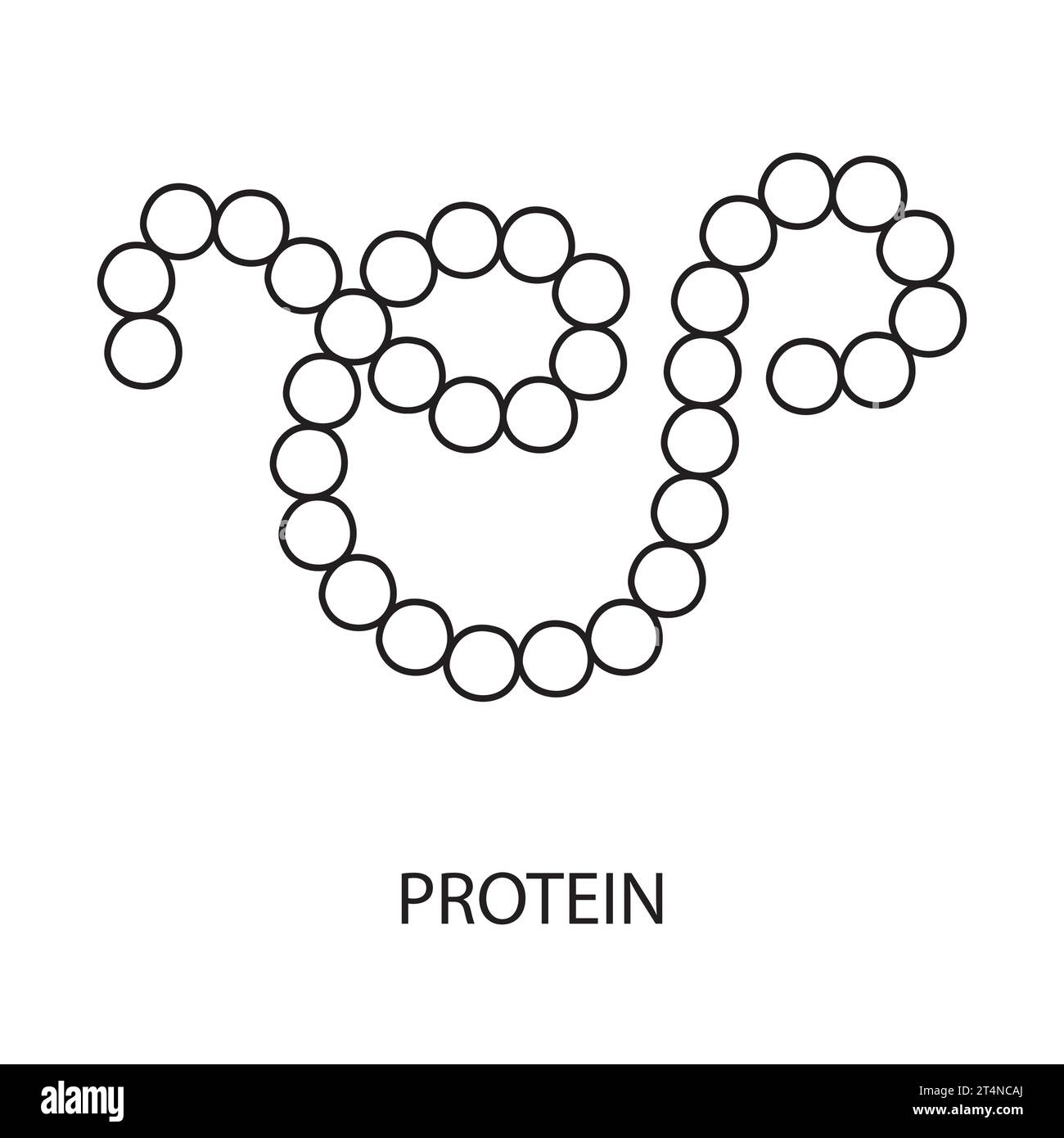 Protein Molecule Structure