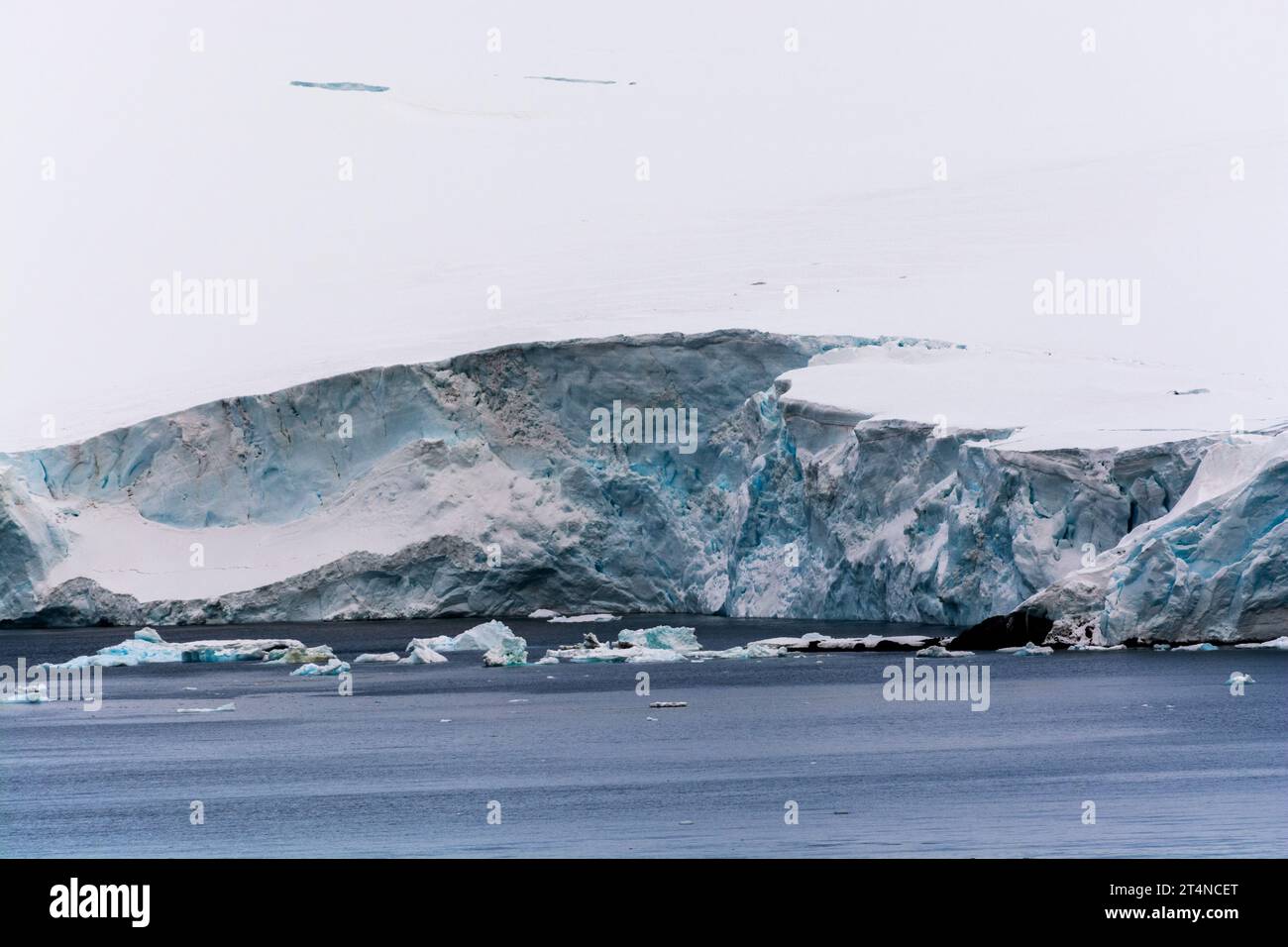 large ice cliffs on coastline around hope bay. antarctic peninsula ...