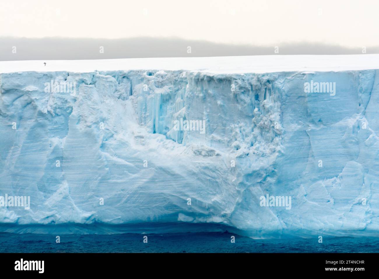 close-up of ice cliff edge of large tabular iceberg in waters of ...