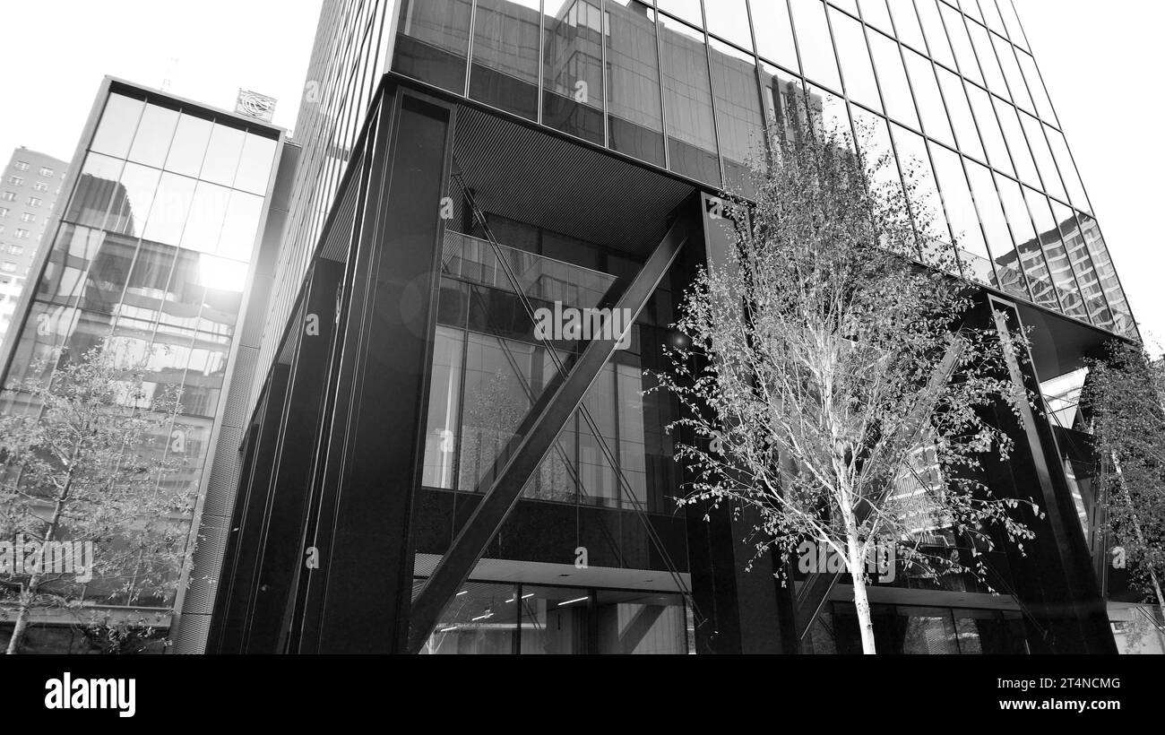 Combination of metal and glass wall material. Steel facade on columns ...